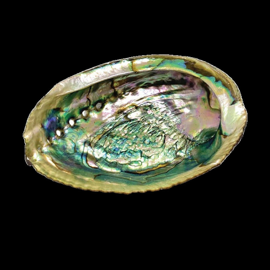 Abalone Shell for Smudging, Sage and Palo Santo Cleansing Rituals ...